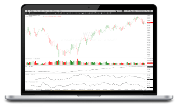 Pulse Of The Market Charting Membership | Wyckoff Stock Market Institute