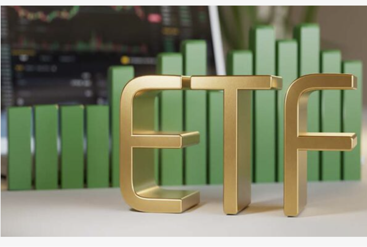 Bitcoin ETFs ‘Deemed a Success’ By Key Measures One Month After Debut ...